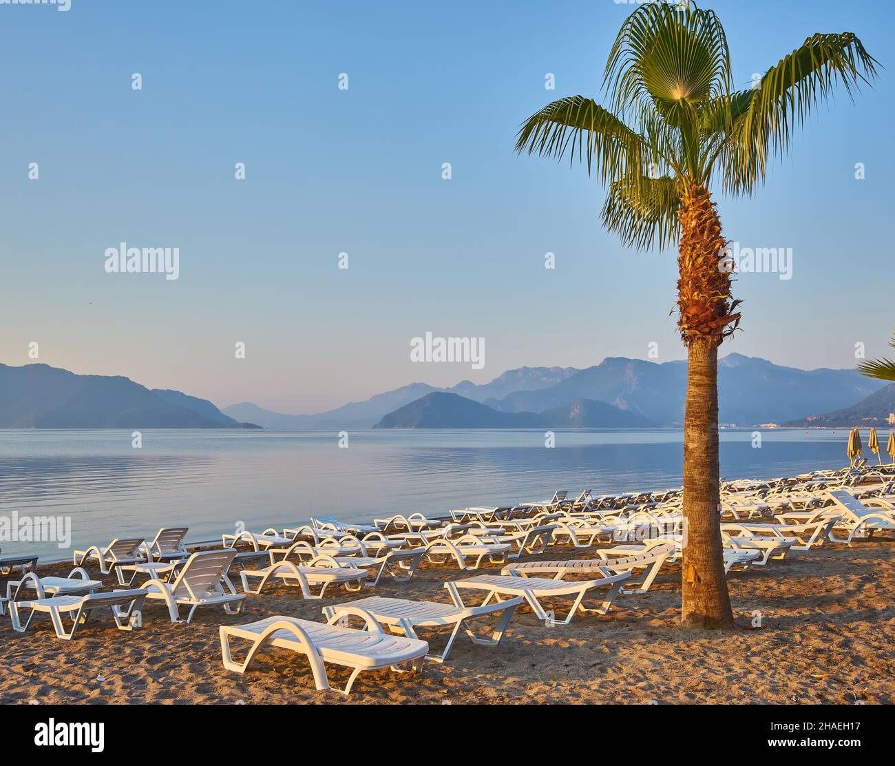 sandy beach without people and with sun loungers, umbrellas, palm trees ...