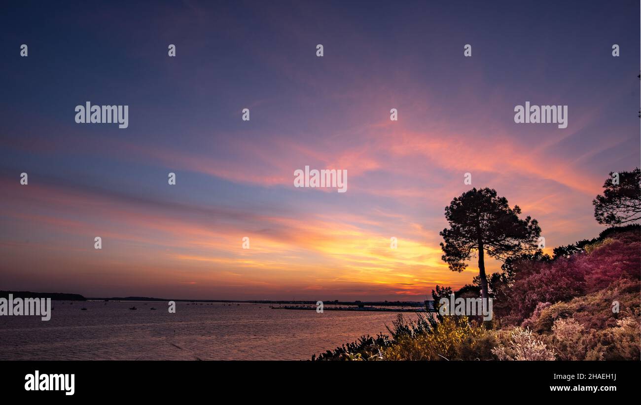 A cliff facing the sea on the sunset in Poole, UK Stock Photo - Alamy