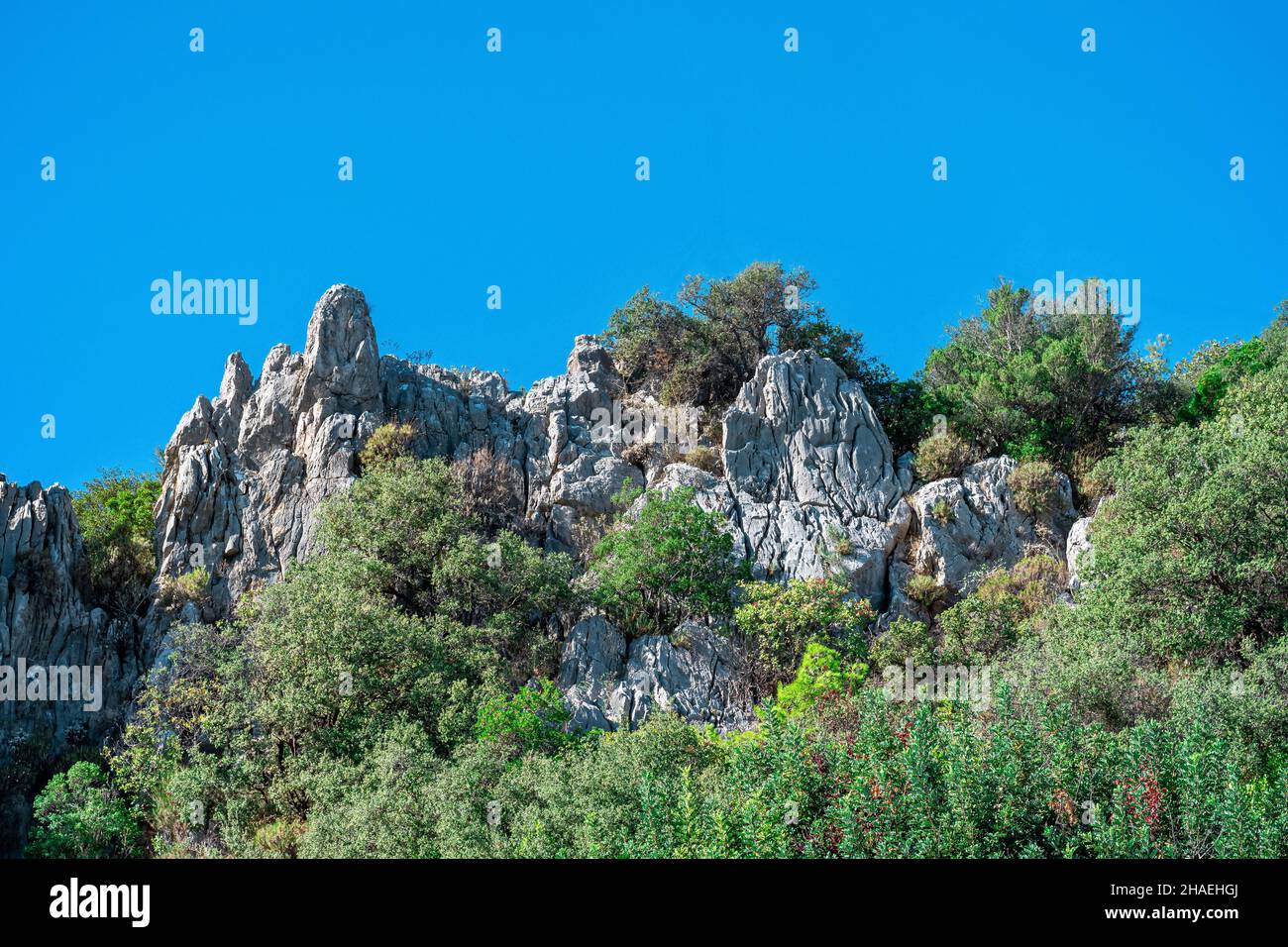 tropical mountain landscape - bushy vegetation among white limestone ...