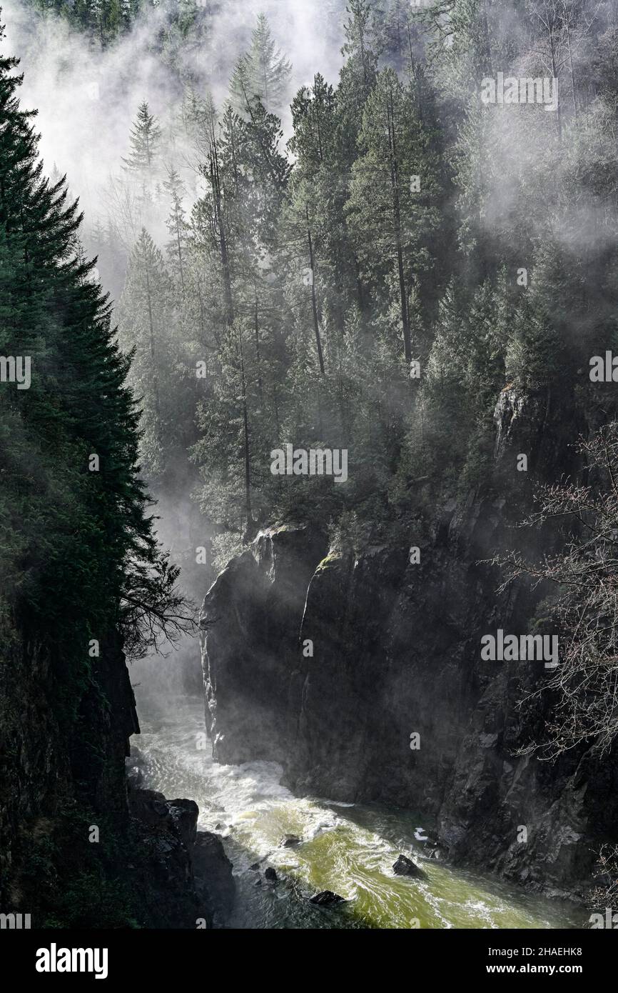 Capilano River Regional Park, North Vancouver, British Columbia, Canada ...
