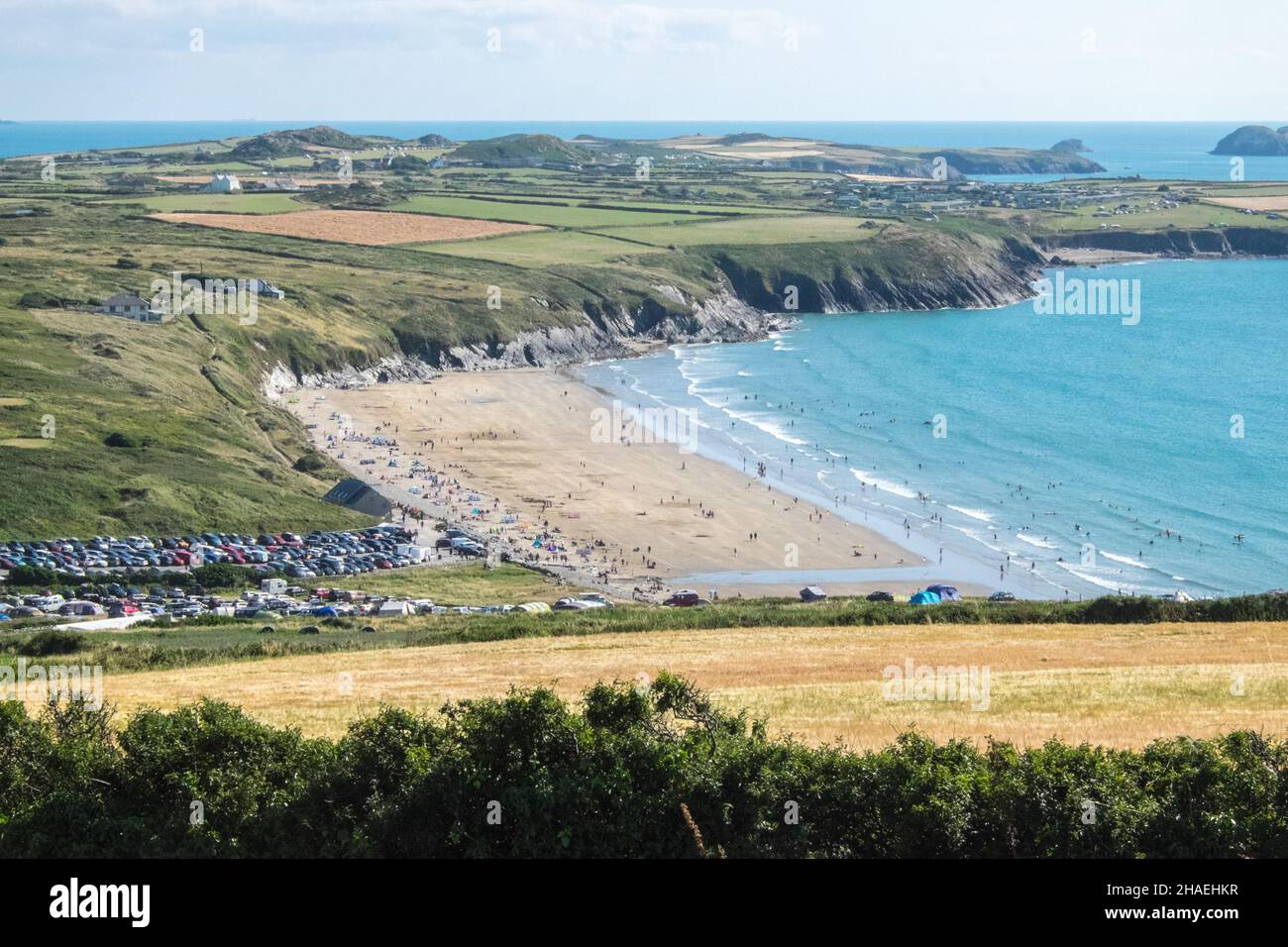Carn llidi flowers hi-res stock photography and images - Alamy