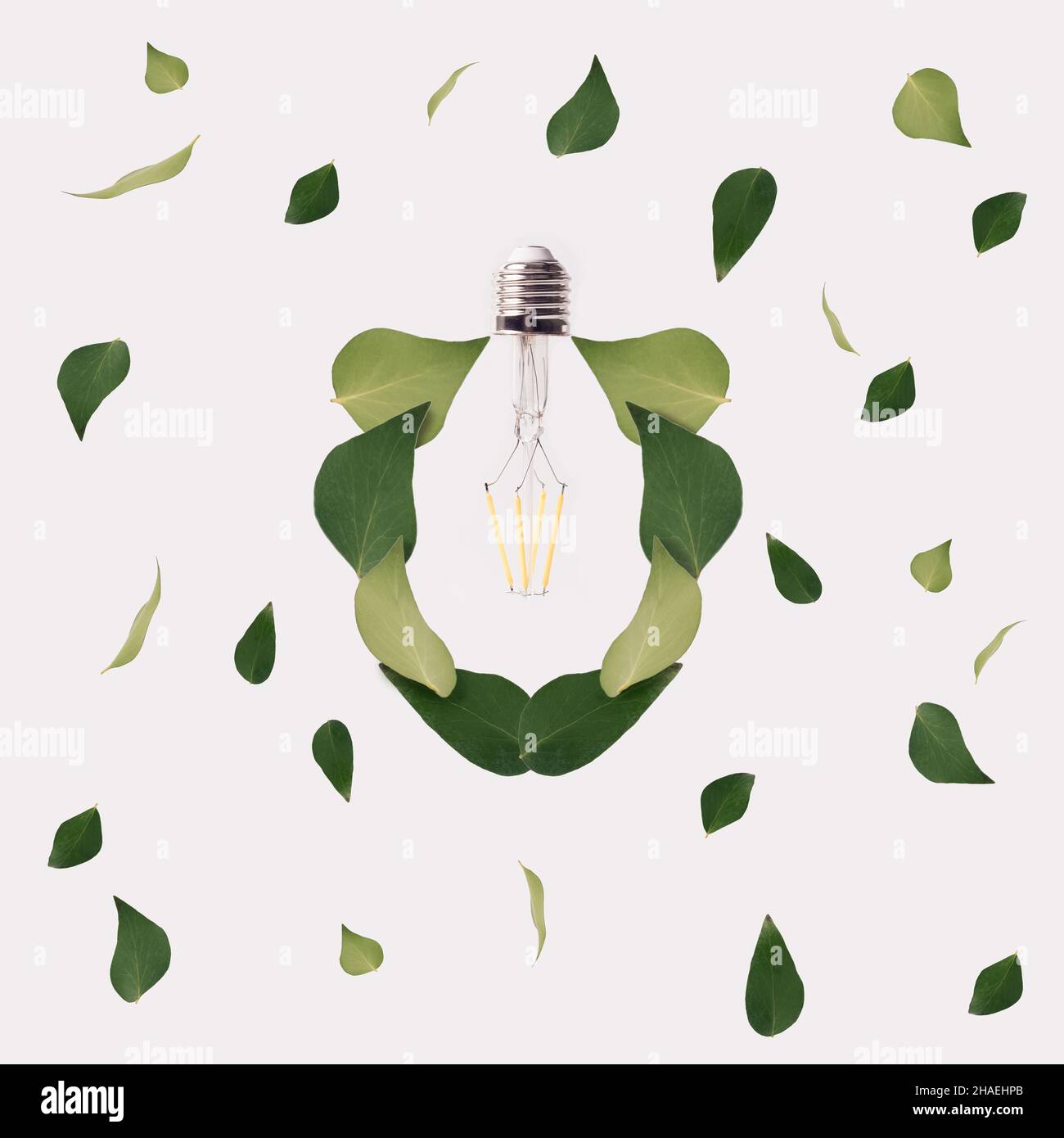 Lightbulb leaves hi-res stock photography and images - Alamy
