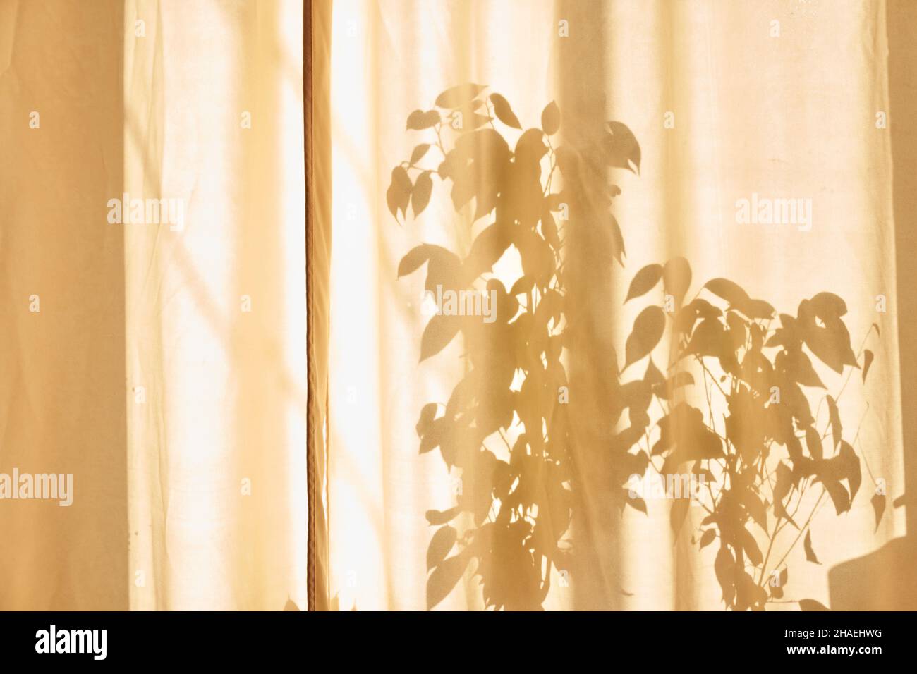 Brown curtain fabric texture background hi-res stock photography and ...