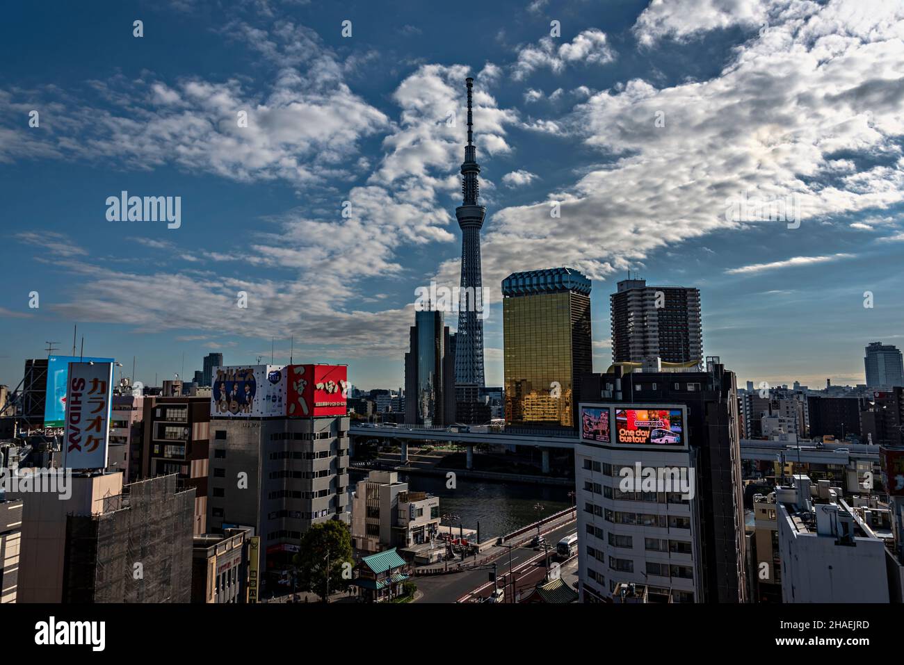 Asakusa skyline and Sky Tree tower, Asakusa, Tokyo, Japan Stock Photo ...