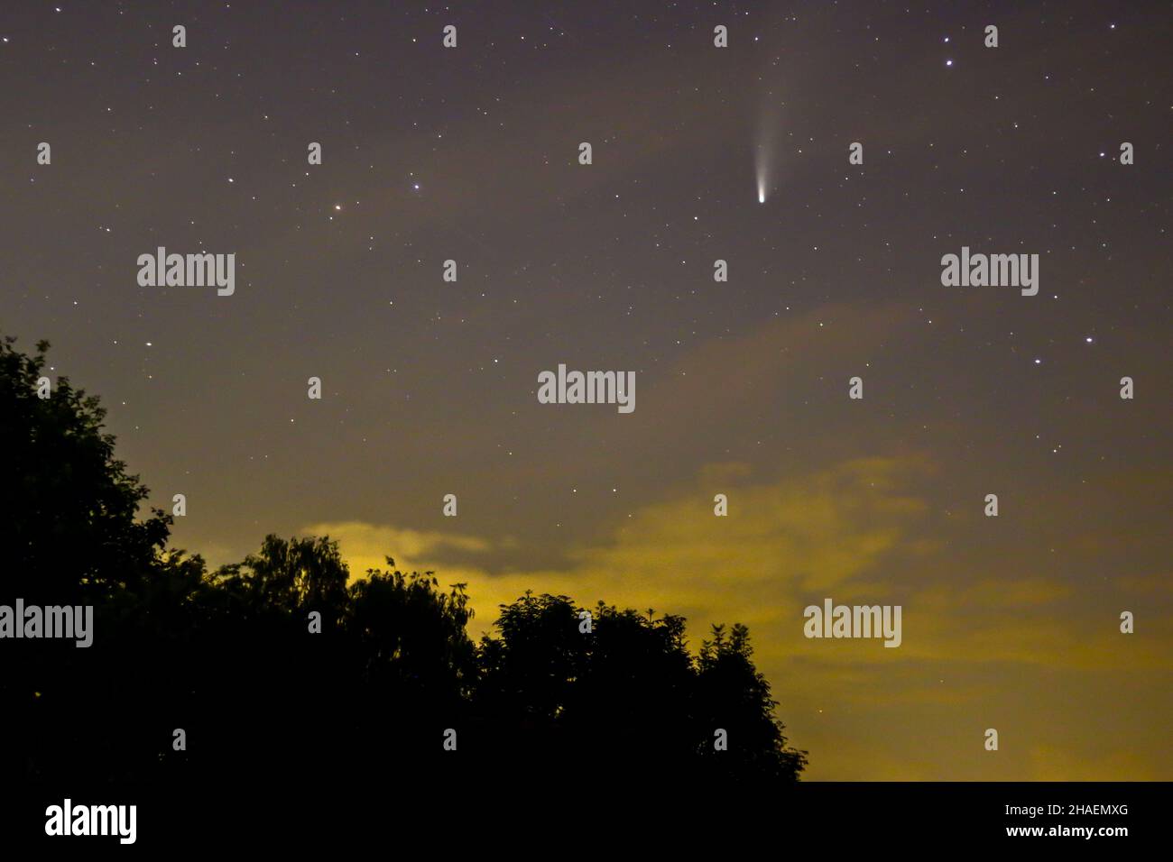 A mesmerizing view of a comet in the starry sky over the forest late in ...