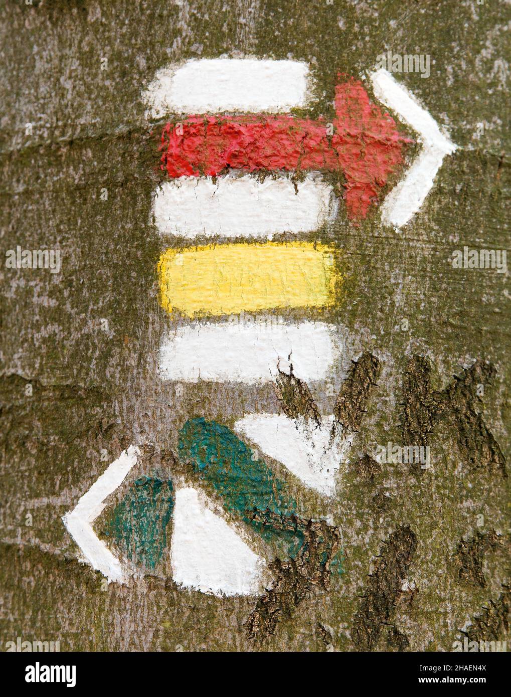 Red yellow and green tourist or hiking trail signs symbols on tree tree ...