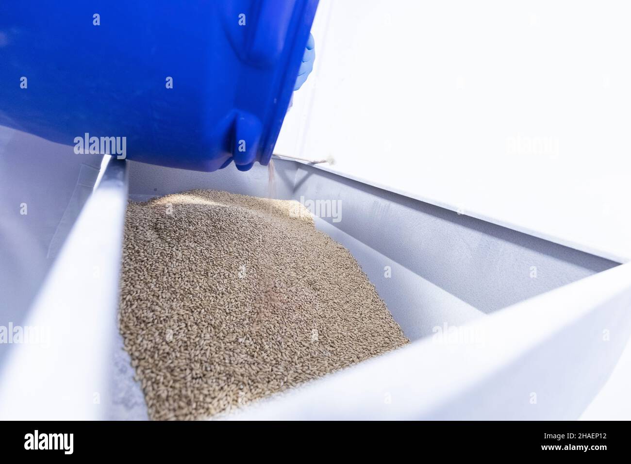 The process of making craft beer in a factory Stock Photo - Alamy