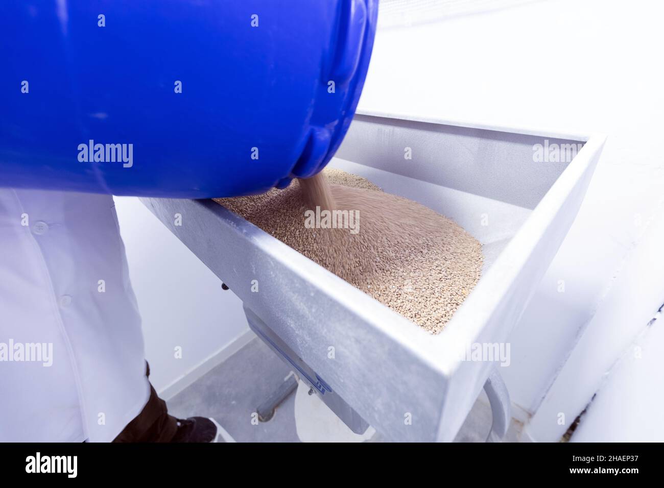 The process of making craft beer in a factory Stock Photo - Alamy