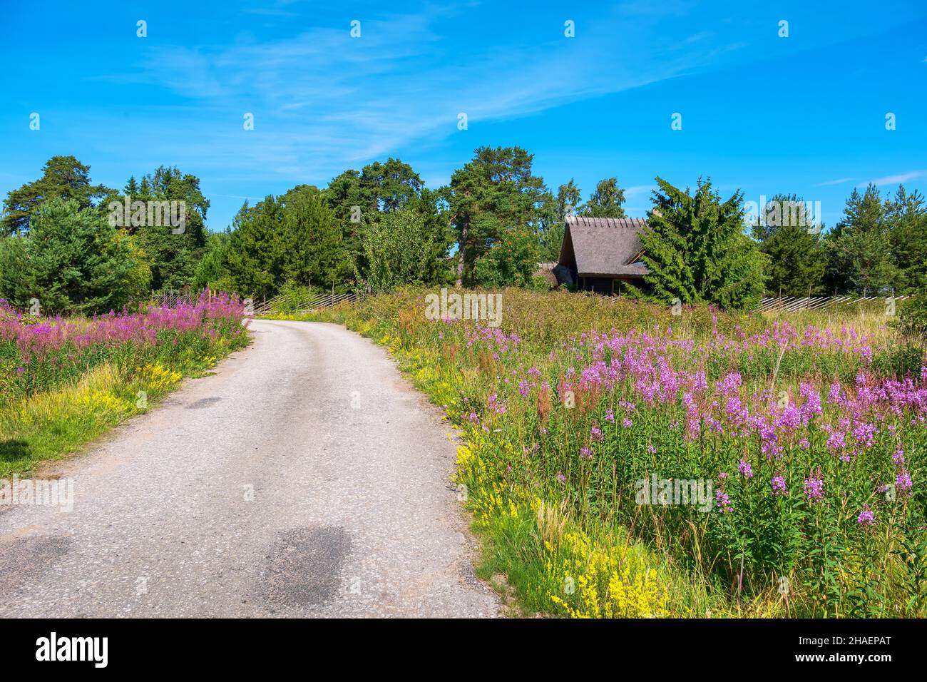 Scenic landscape with country road. Estonia, Europe Stock Photo - Alamy