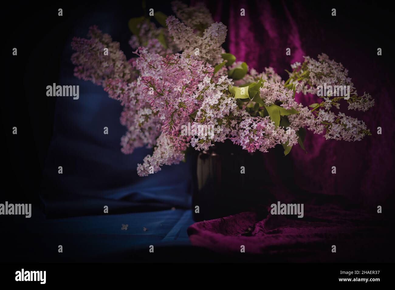 Dark vintage still life with beautiful branches of lilac Stock Photo ...