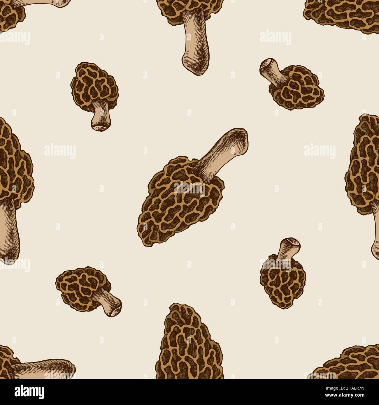 Seamless pattern with hand drawn colored morel mushroom Stock Vector ...