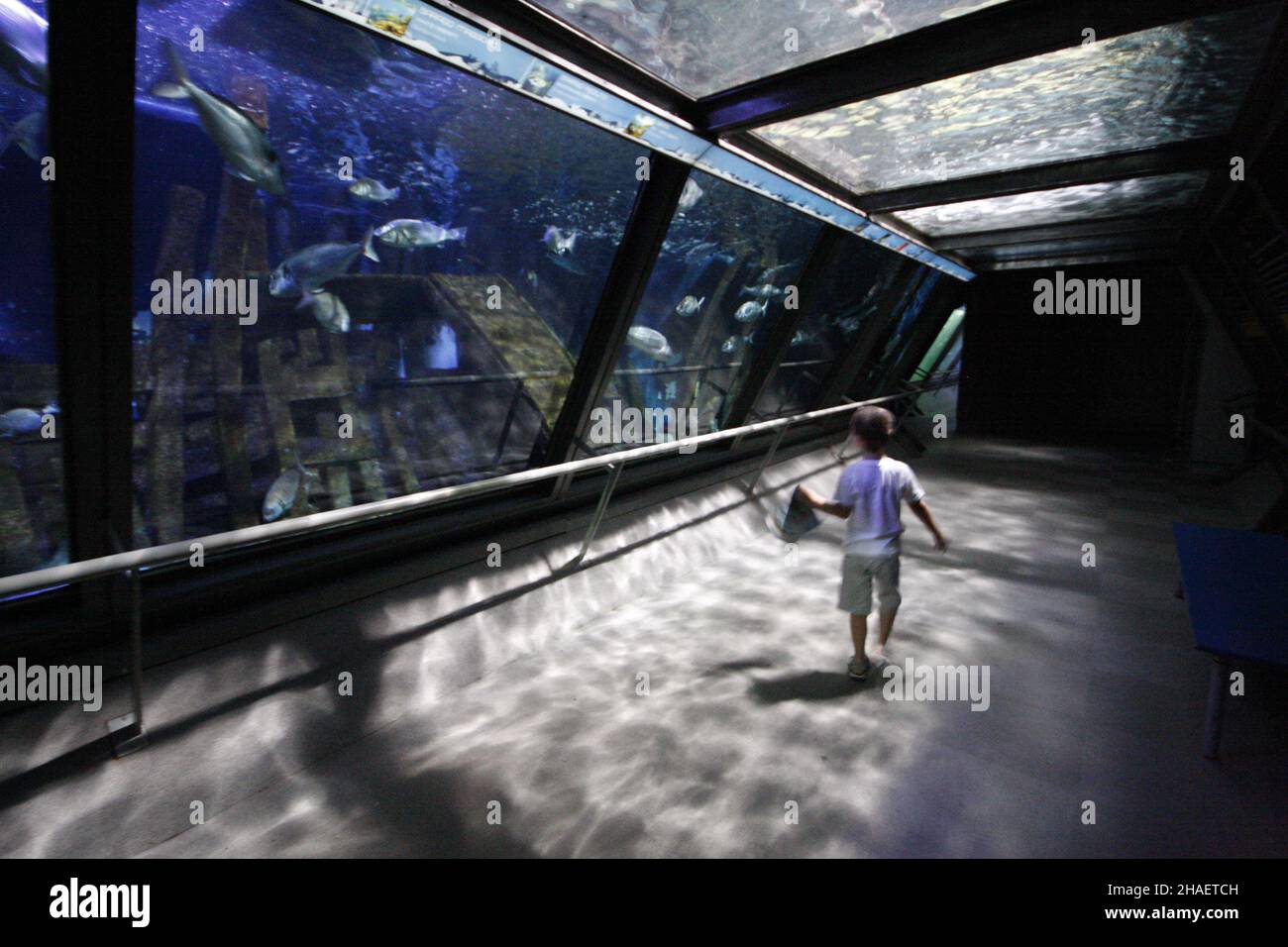 beautiful pictures of the Cattolica aquarium, Emilia Romagna, Italy. Le ...