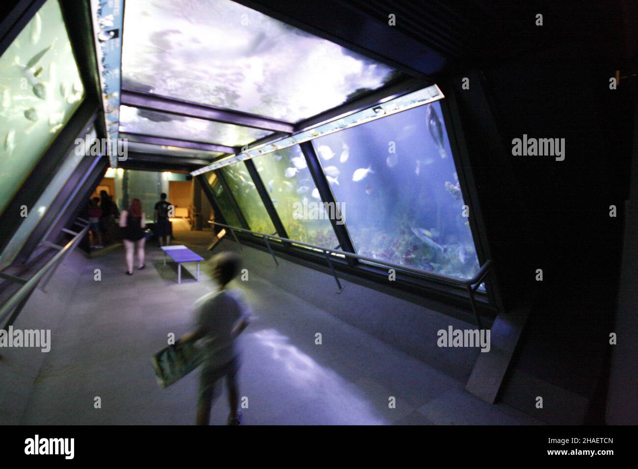 beautiful pictures of the Cattolica aquarium, Emilia Romagna, Italy. Le ...