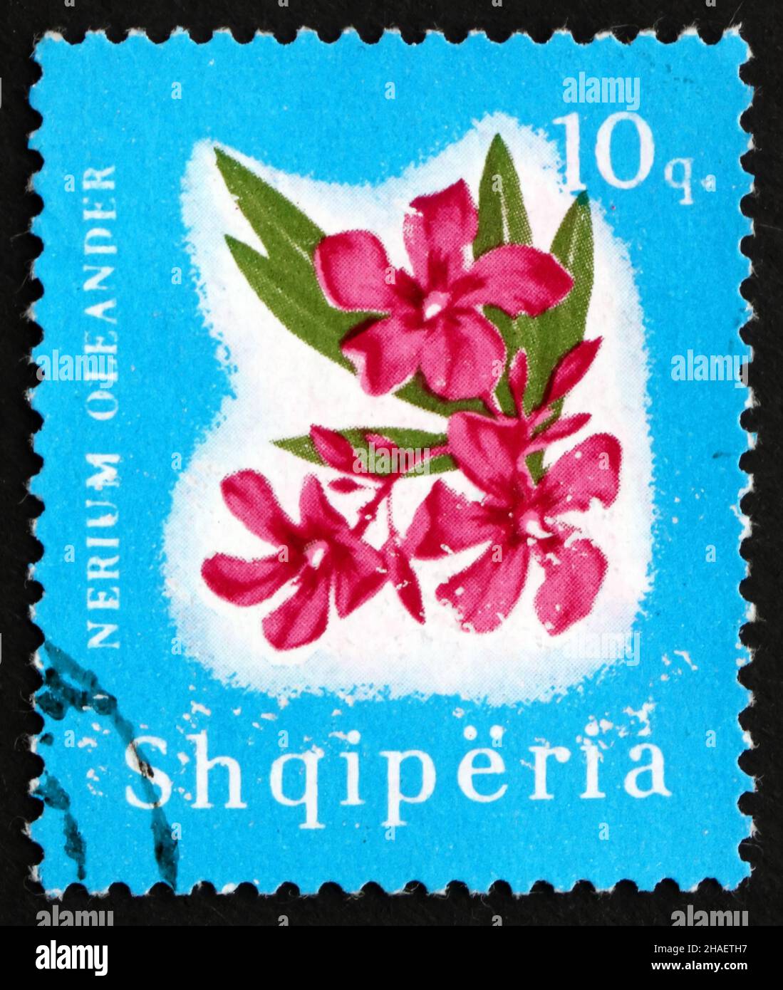 ALBANIA - CIRCA 1965: a stamp printed in the Albania shows Oleander ...
