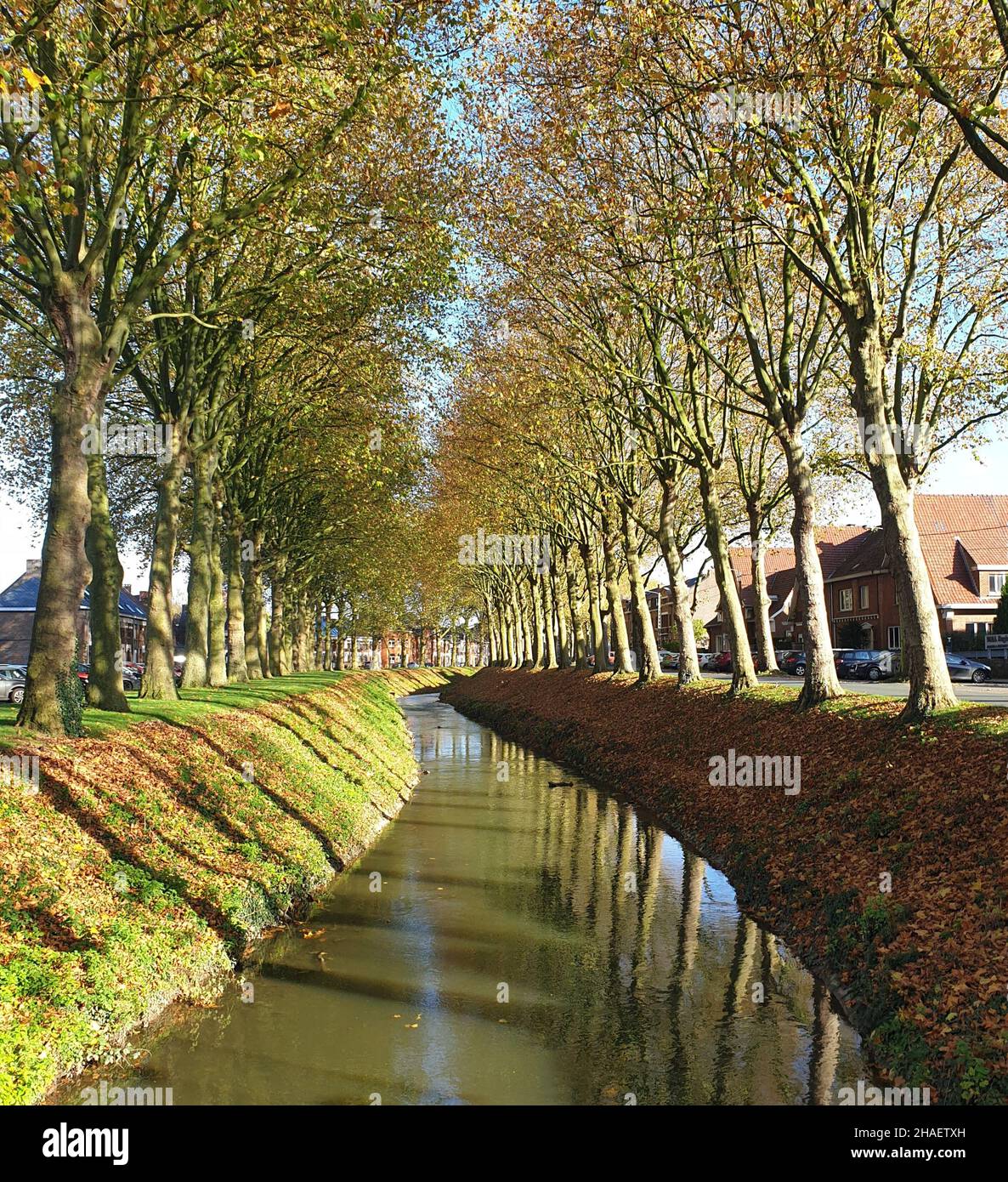 The river water flowing through the rows of trees in the park of Ath in ...
