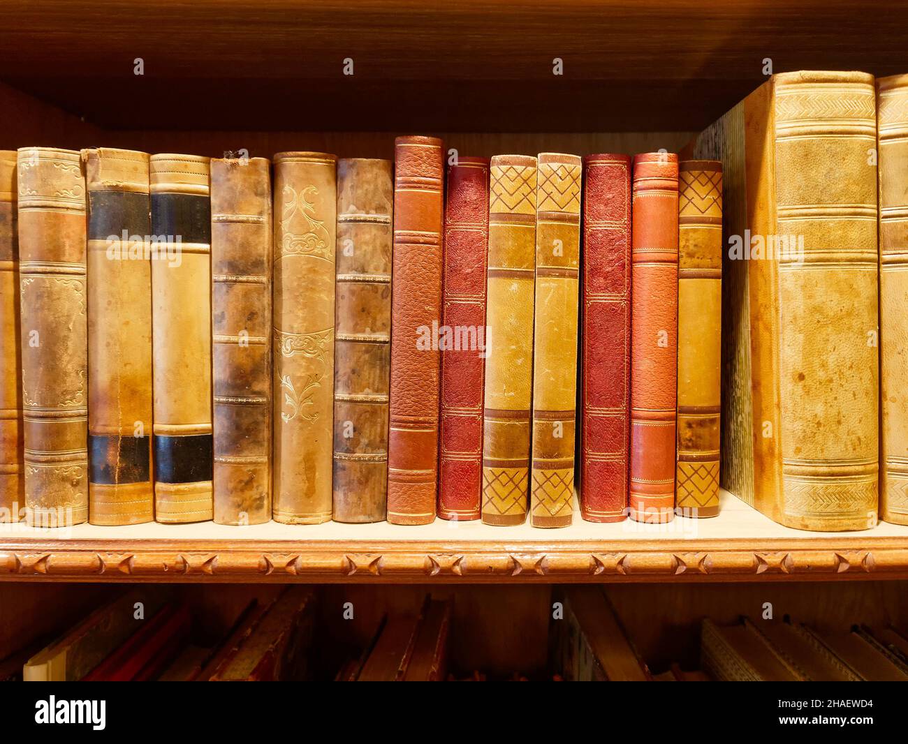 old ancient books on wooden shelf collection Stock Photo - Alamy