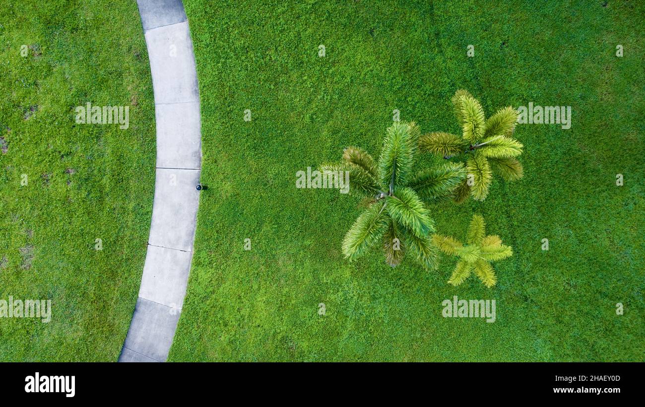 An aerial view of a beautiful green park in Fort Lauderdale, Florida ...