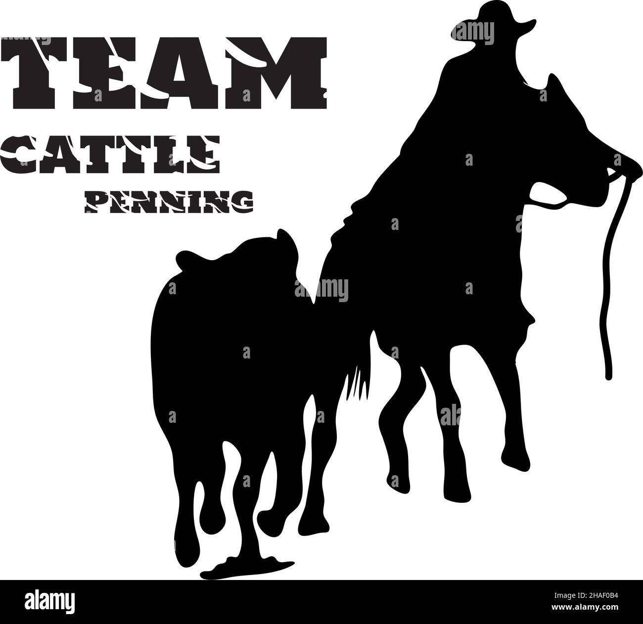 Ranch texas cattle Cut Out Stock Images & Pictures - Alamy