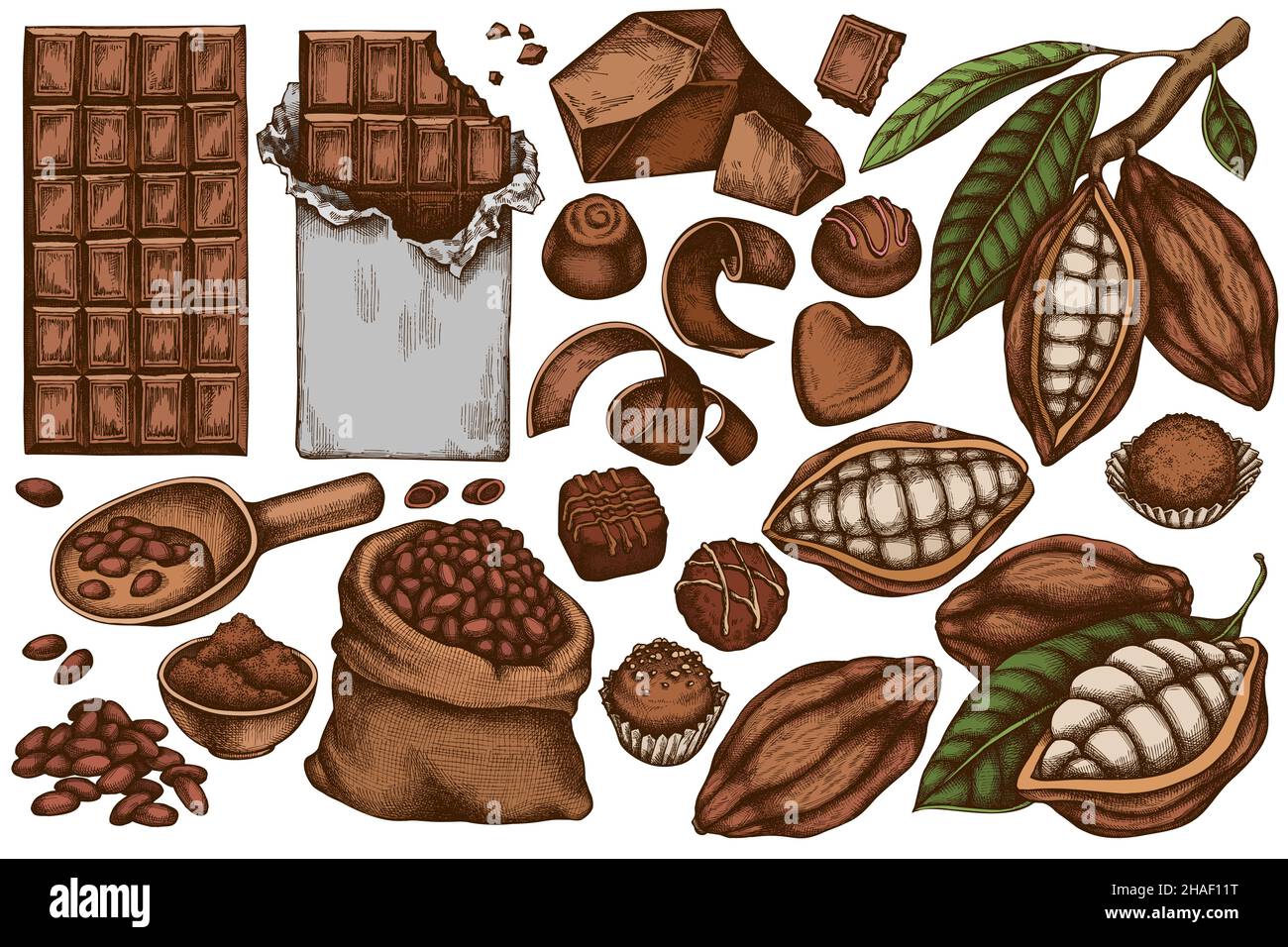 Vector set of hand drawn colored cocoa beans, cocoa, chocolate ...