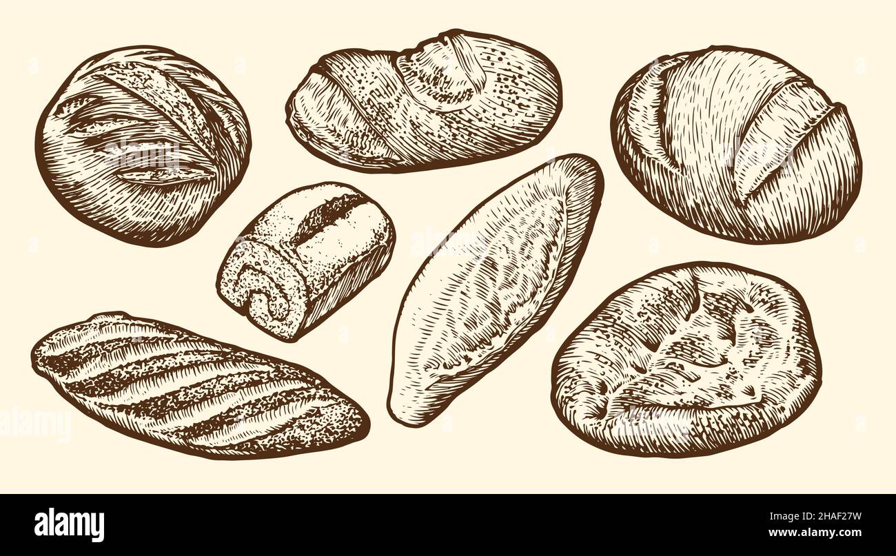 Bakery products. Rye, wheat and whole grain bread. Sketch vintage ...