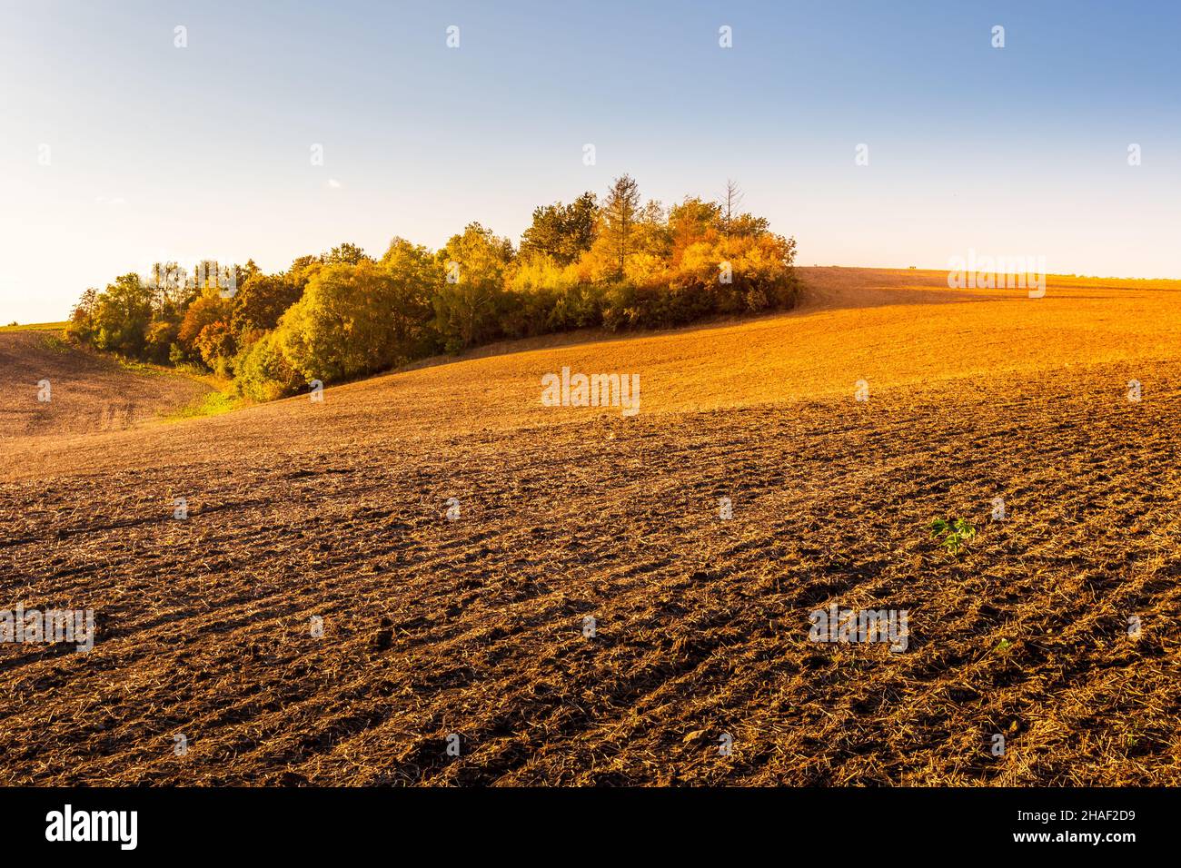 Czech agricultural landscape hi-res stock photography and images - Alamy