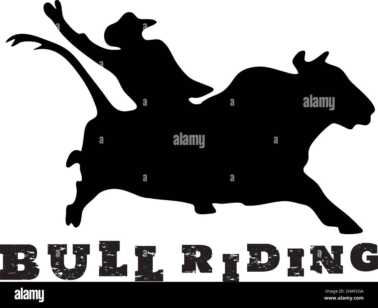 Young longhorn cow Cut Out Stock Images & Pictures - Alamy