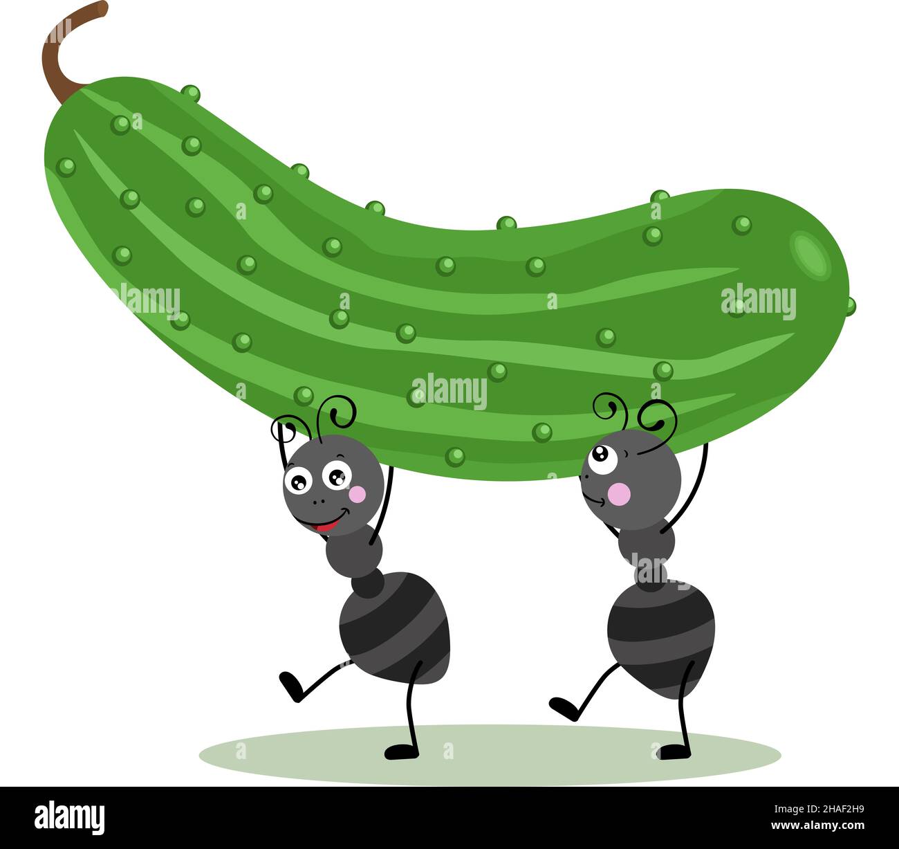 Two ants carrying a fresh green cucumber Stock Photo - Alamy