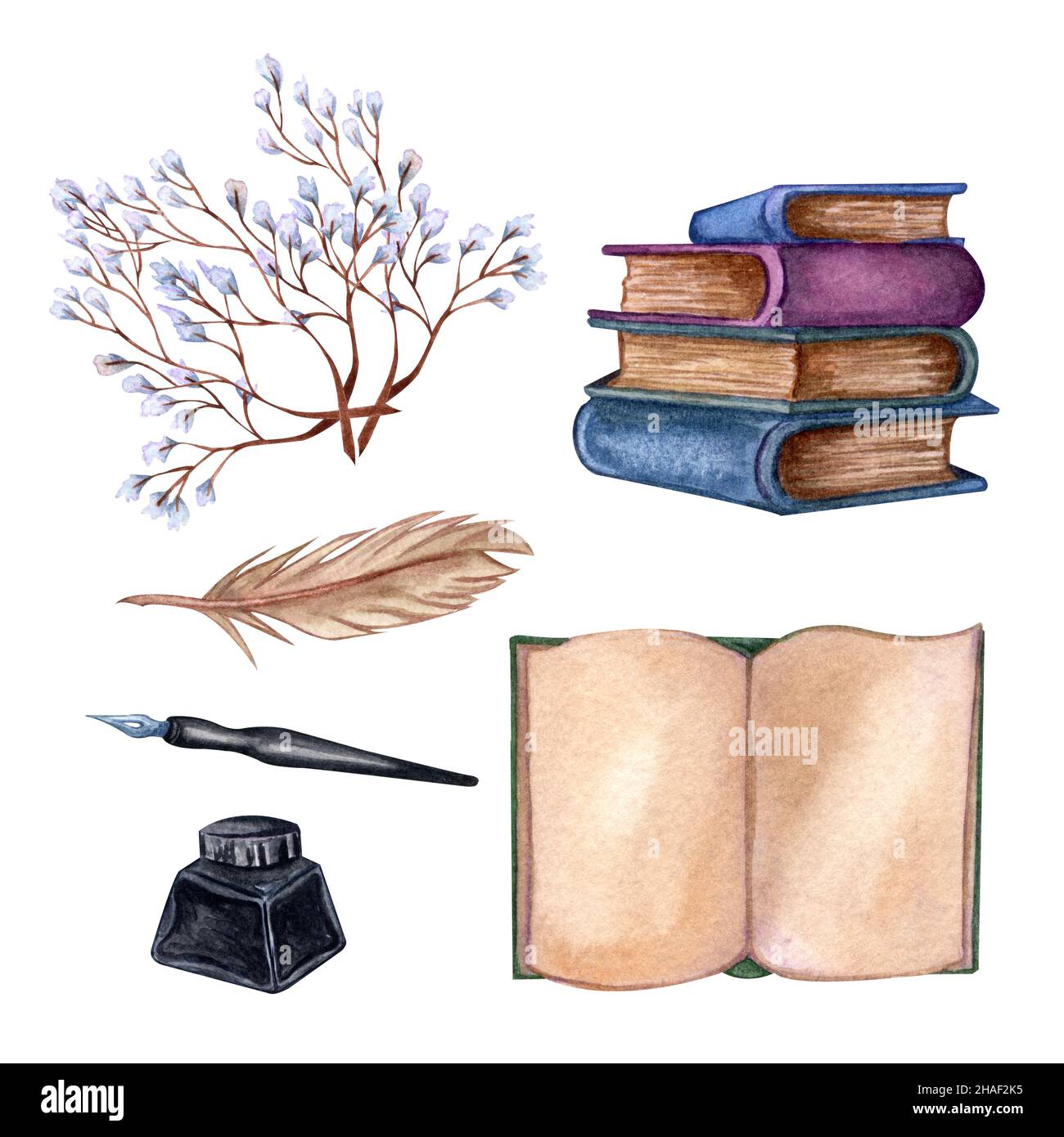 Hand Drawn watercolor illustration. Set with a pile of old books, ink ...