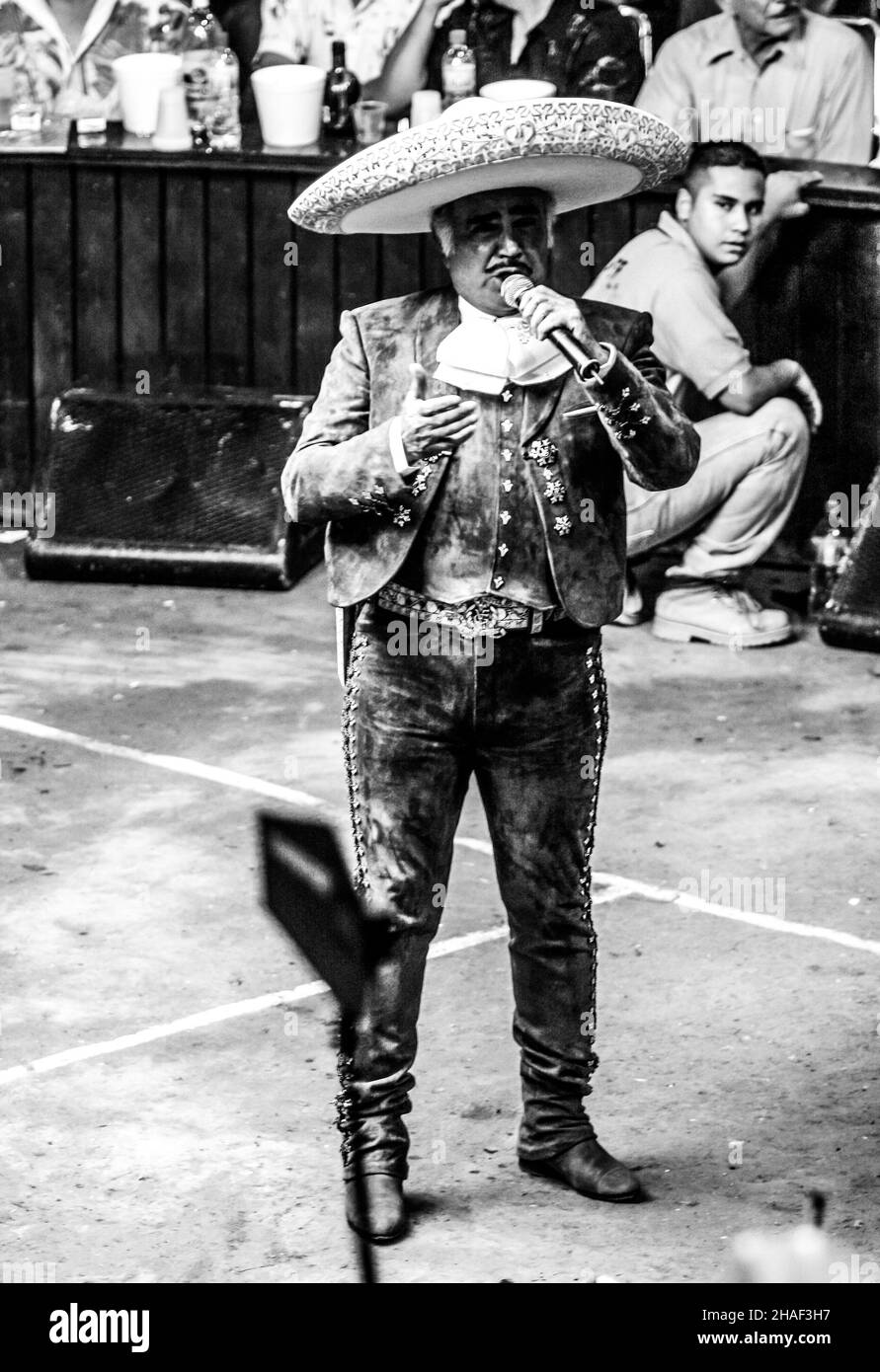 Vicente Fernandez Mariachi