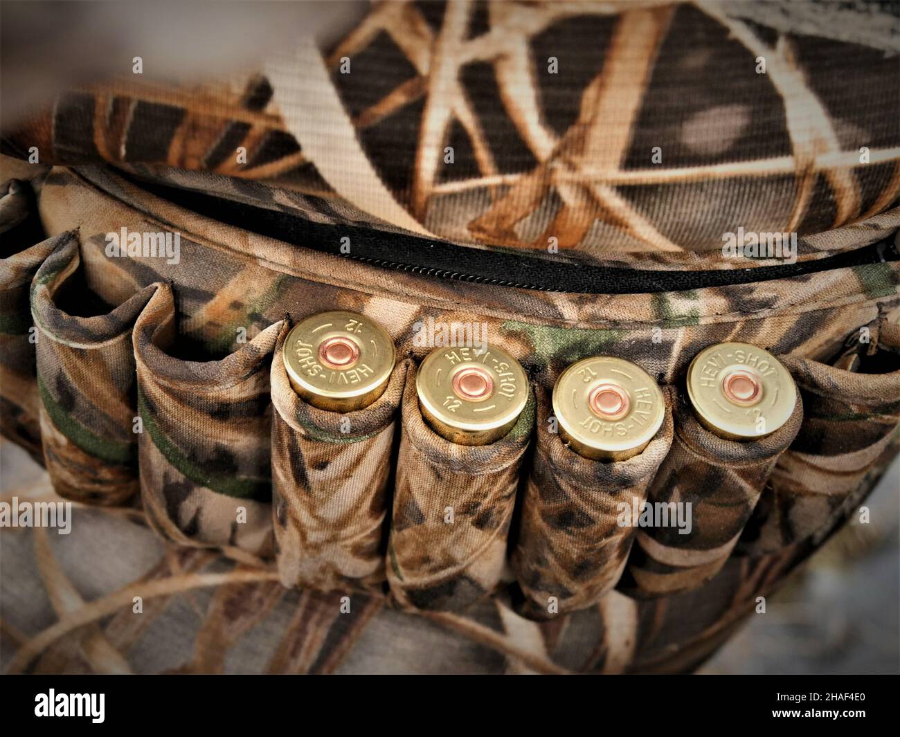 Bandolier hi-res stock photography and images - Alamy