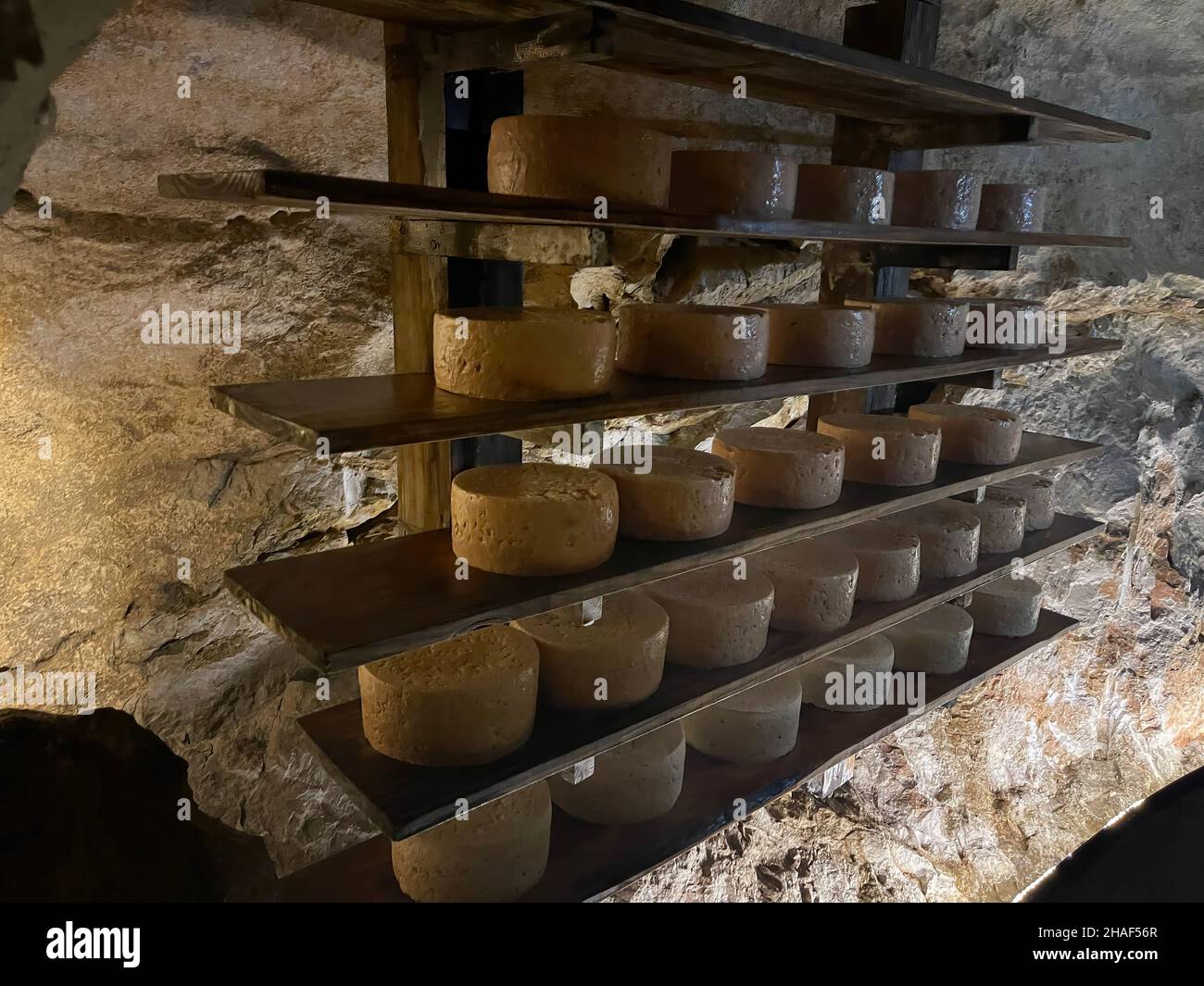 shelves full of cabrales cheeses in the process of maturation inside a ...