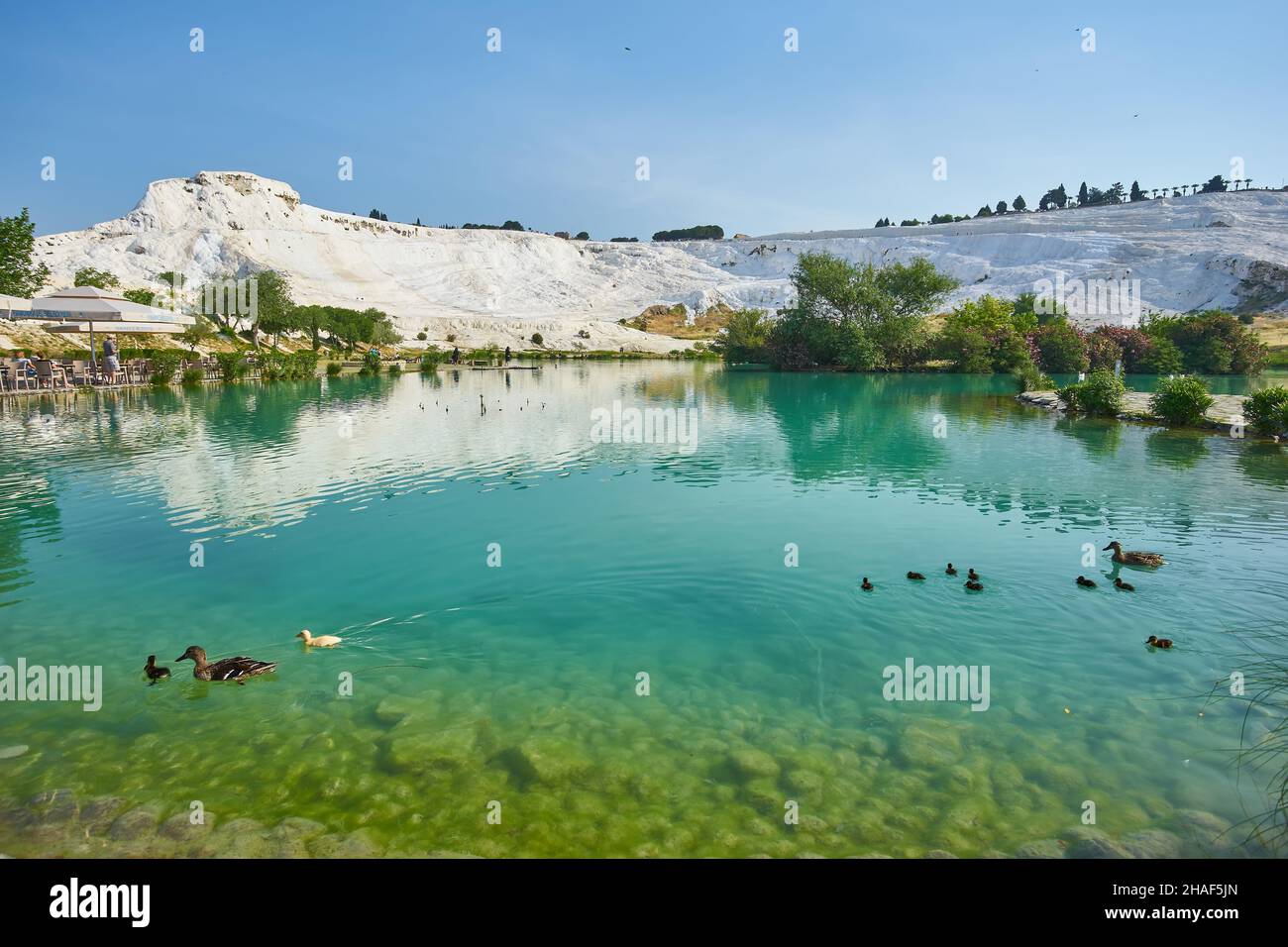 The small lake in Pamukkale on Turkey Stock Photo - Alamy
