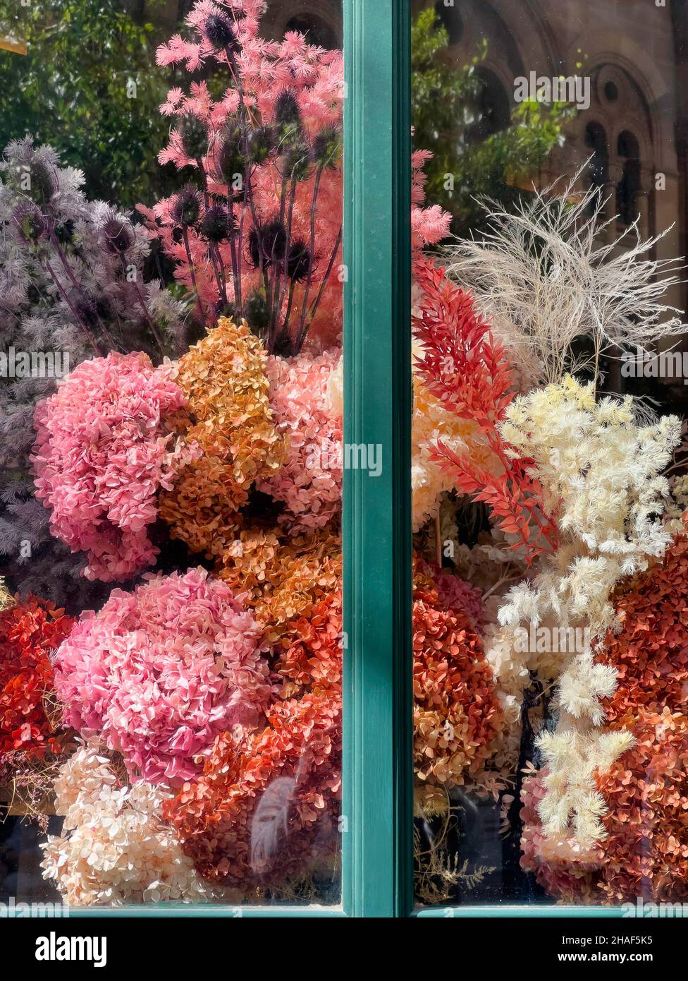 Dried flowers of all colors displayed at a shop window Stock Photo - Alamy