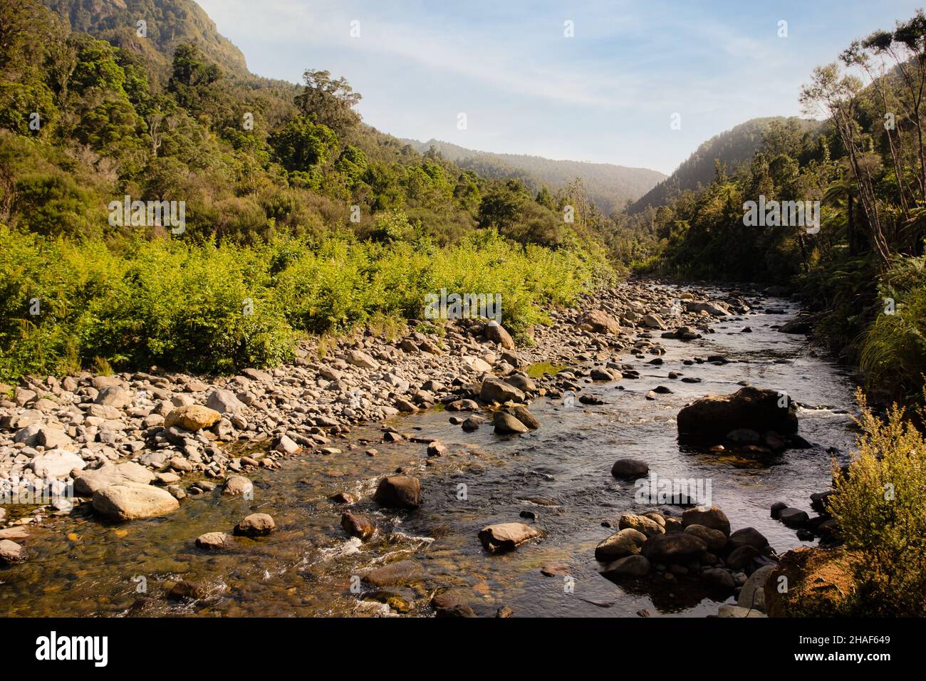 A narrow stream surrounded by rocks and greenery in a forest under the ...
