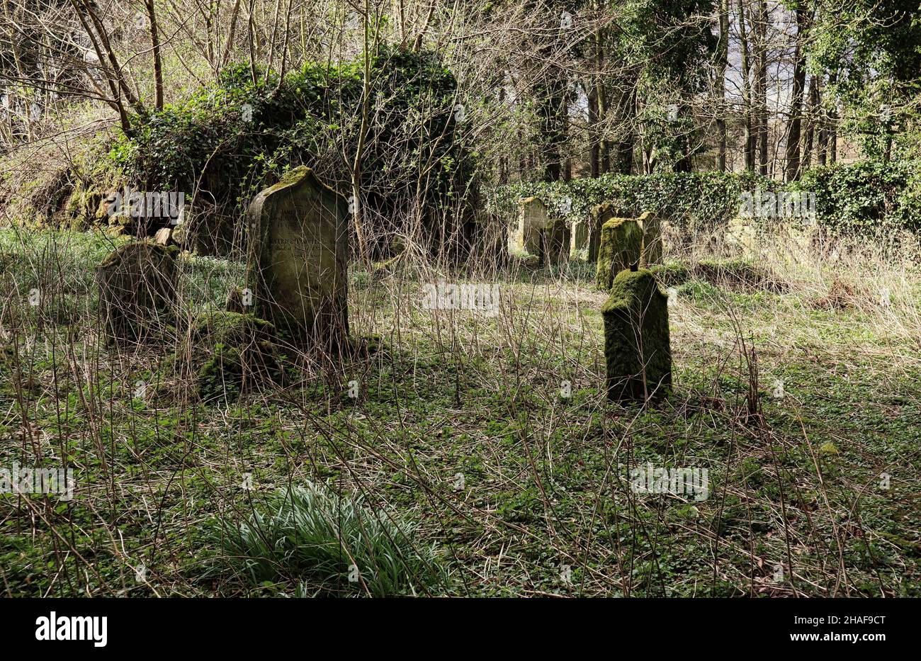 old mossy graves in an abandoned graveyard Stock Photo - Alamy