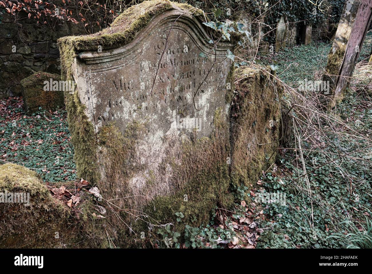 Old tombstone with moss hi-res stock photography and images - Alamy