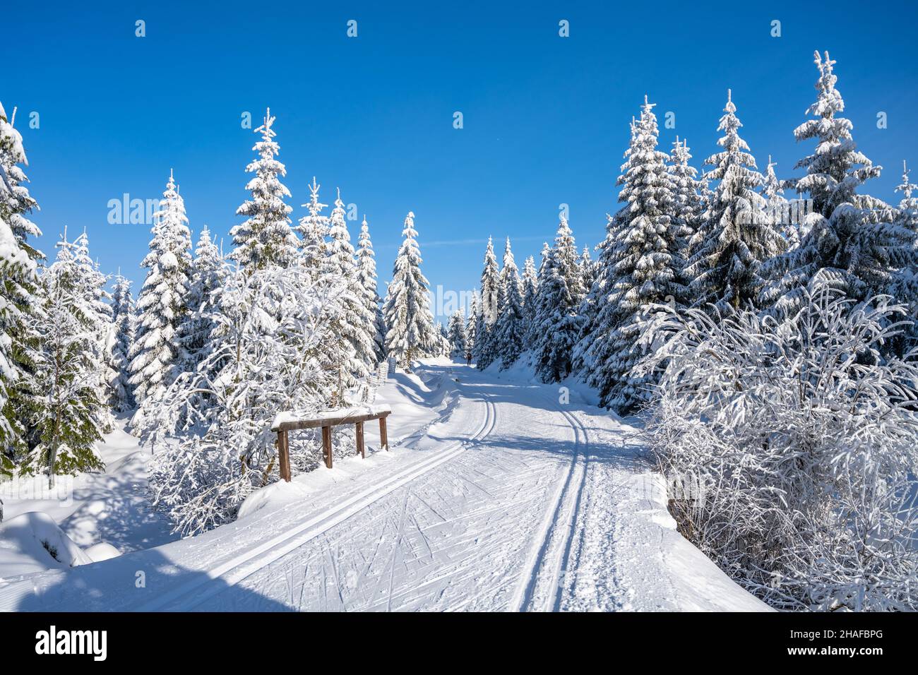 Cross country skiing track on sunny winter day Stock Photo - Alamy
