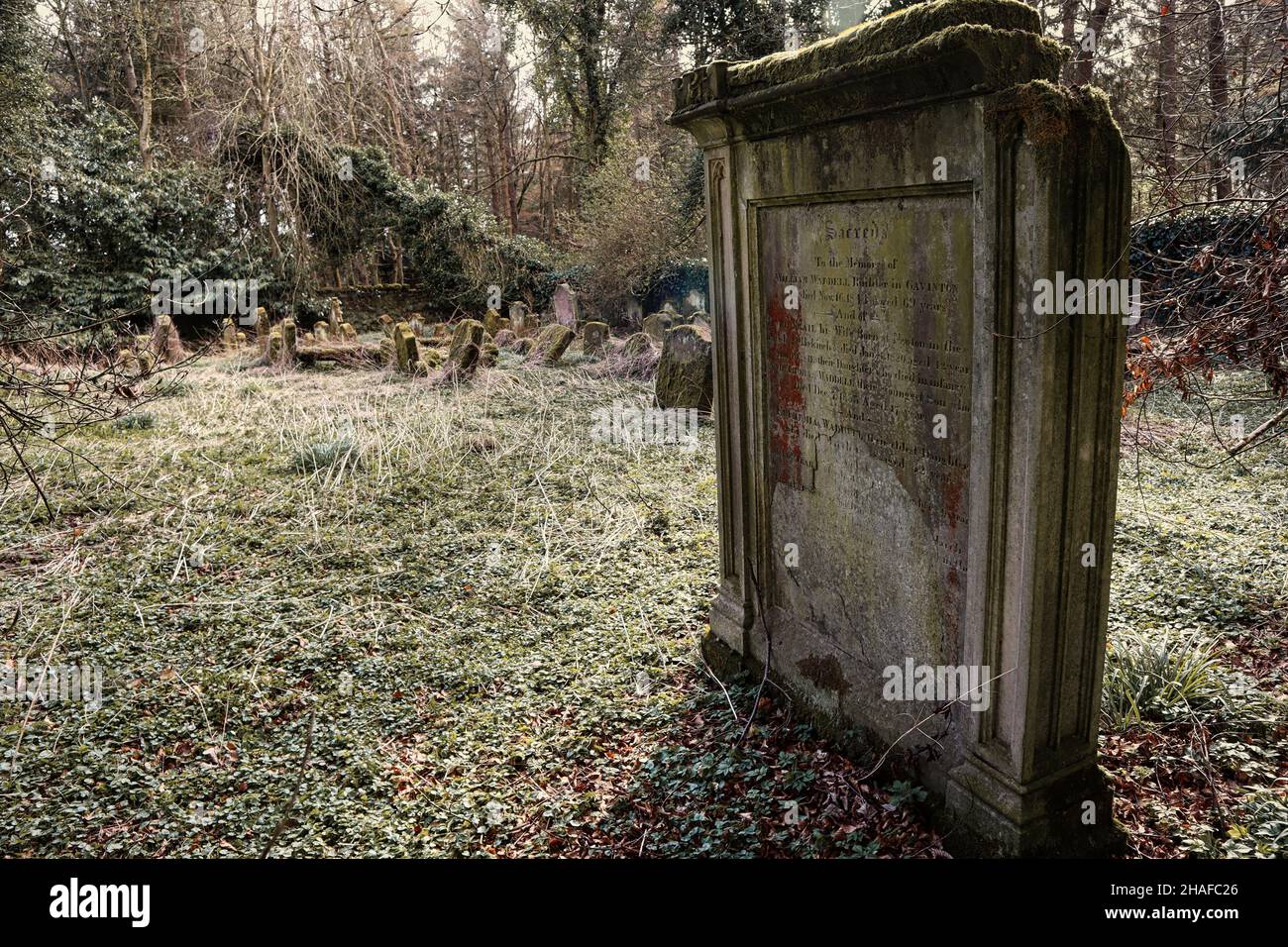 a side angle of a grave in an abandoned graveyard Stock Photo - Alamy