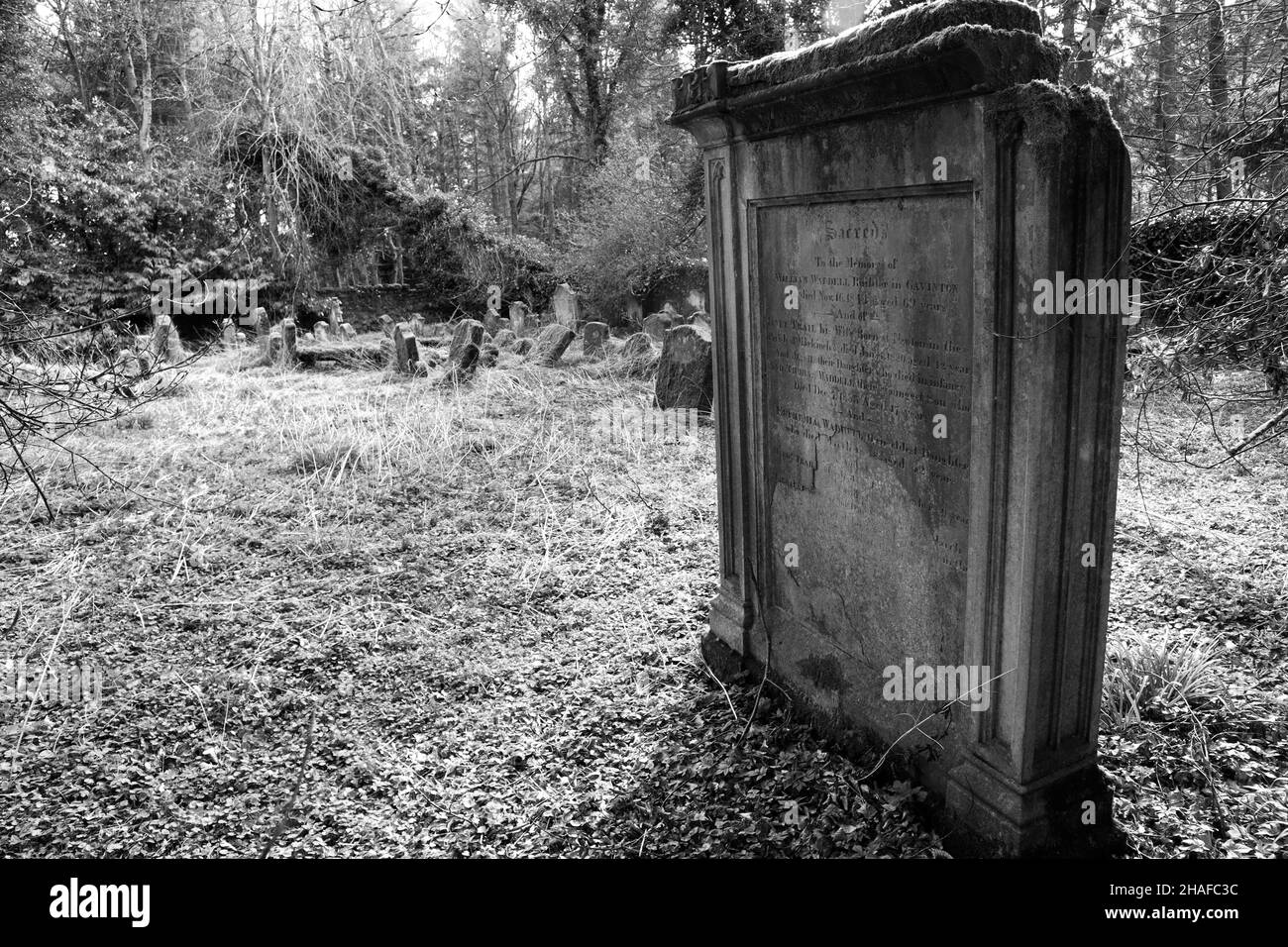 a side angle of a grave in an abandoned graveyard in black and white ...
