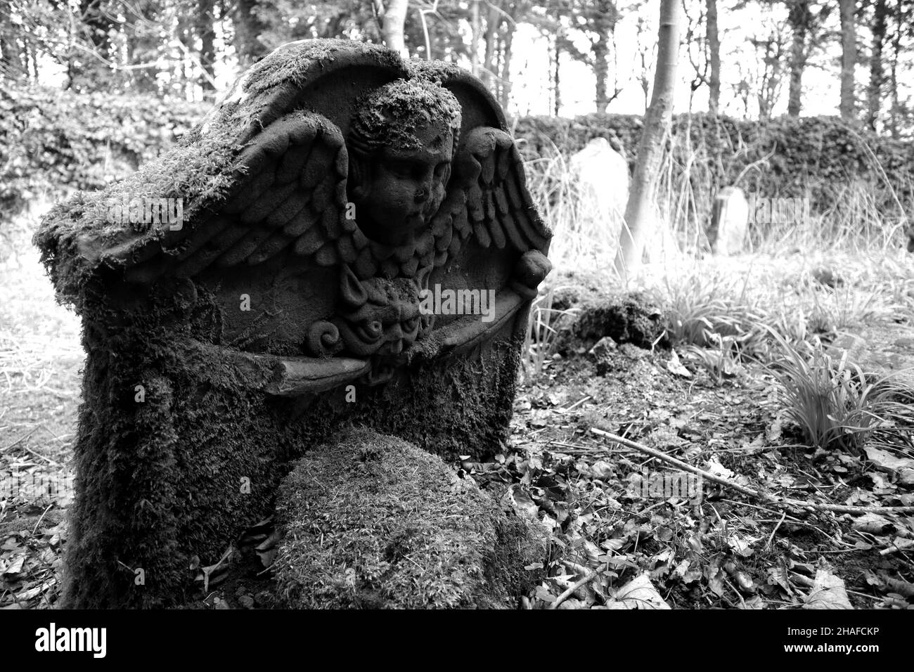 a grave with a cherub engraving in a moody setting in black and white ...