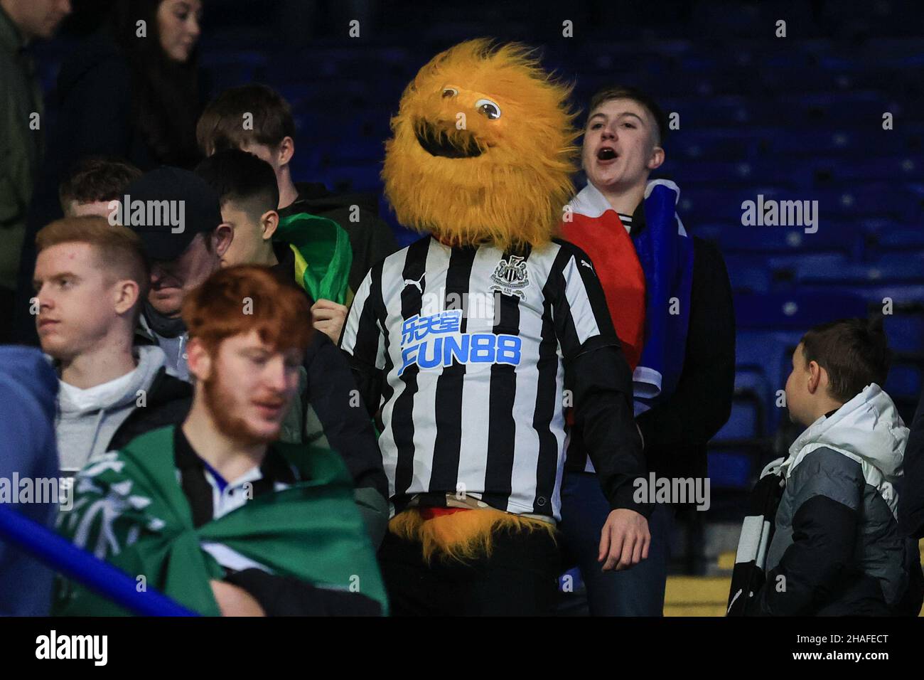 A Newcastle fan dressed up as the Honey Monster Stock Photo - Alamy