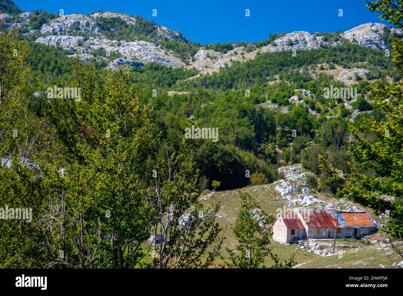 Sunny weather in late summer,southwest Montenegro,beautiful special ...