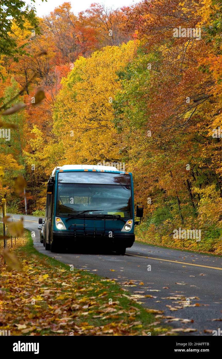 Public Transport Bus on Curved Road with Colorful Fall Foliage Vertical ...