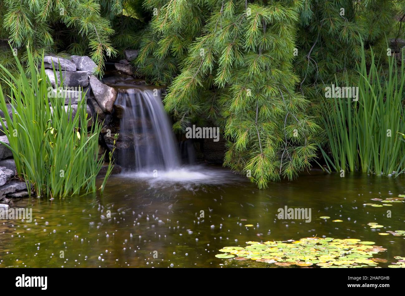 Beautiful Waterfall with Evergreen Trees in Park of Ottawa, Canada ...
