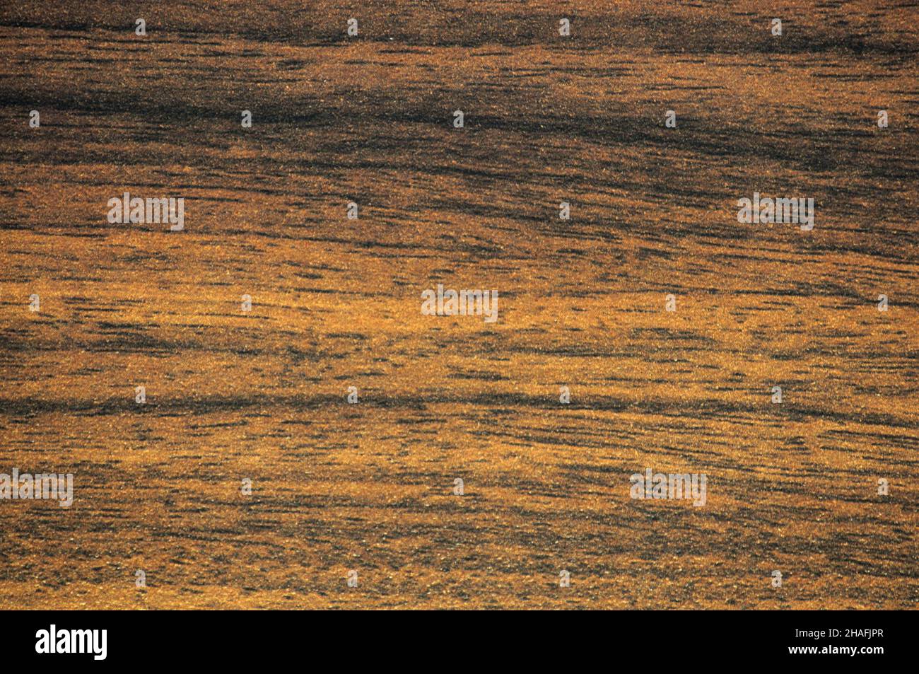 Dark walnut, texture of natural aged wood with a wavy pattern close-up ...