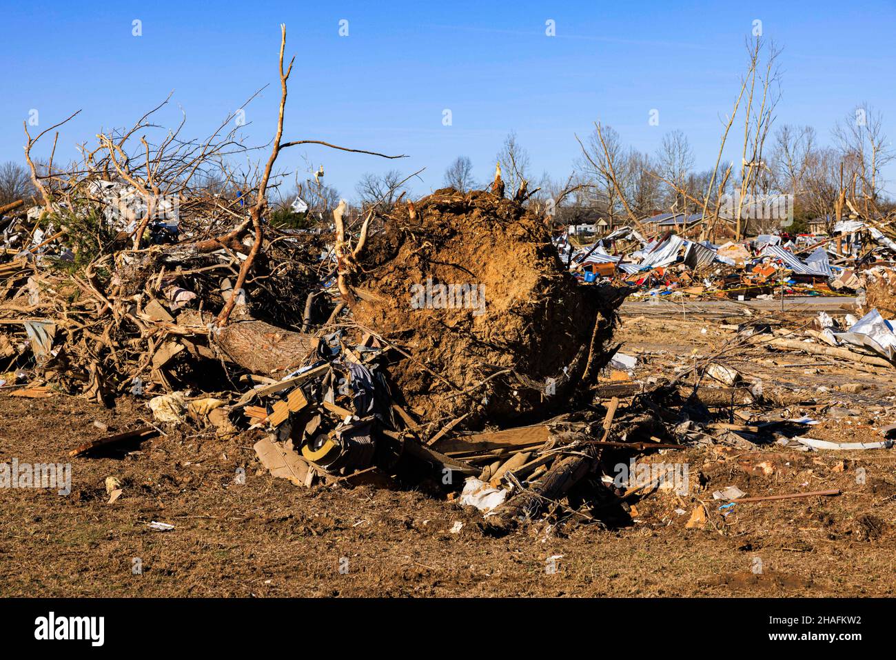 Tornado aftermath tree hi-res stock photography and images - Alamy