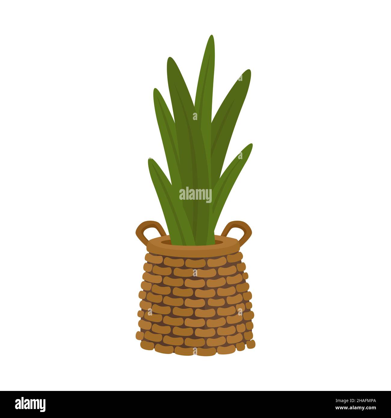 Vector cartoon style illustration potted house plant Stock Vector Image ...