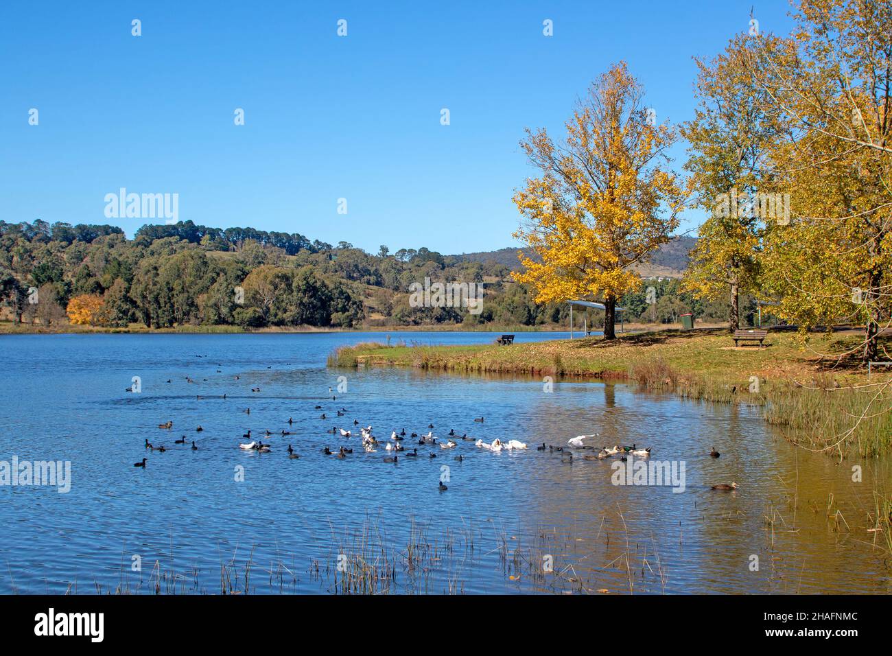Lake Canobolas, outside of Orange Stock Photo - Alamy