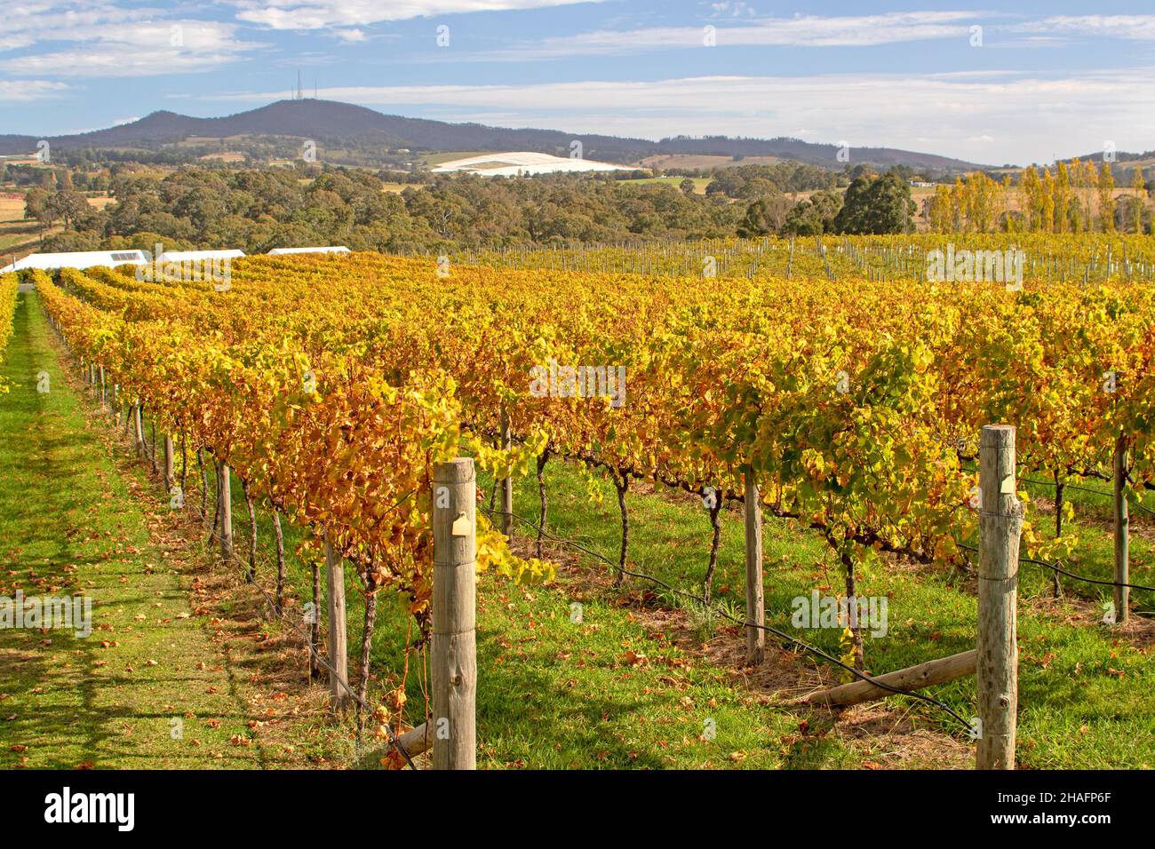 Mt canobolas hi-res stock photography and images - Alamy