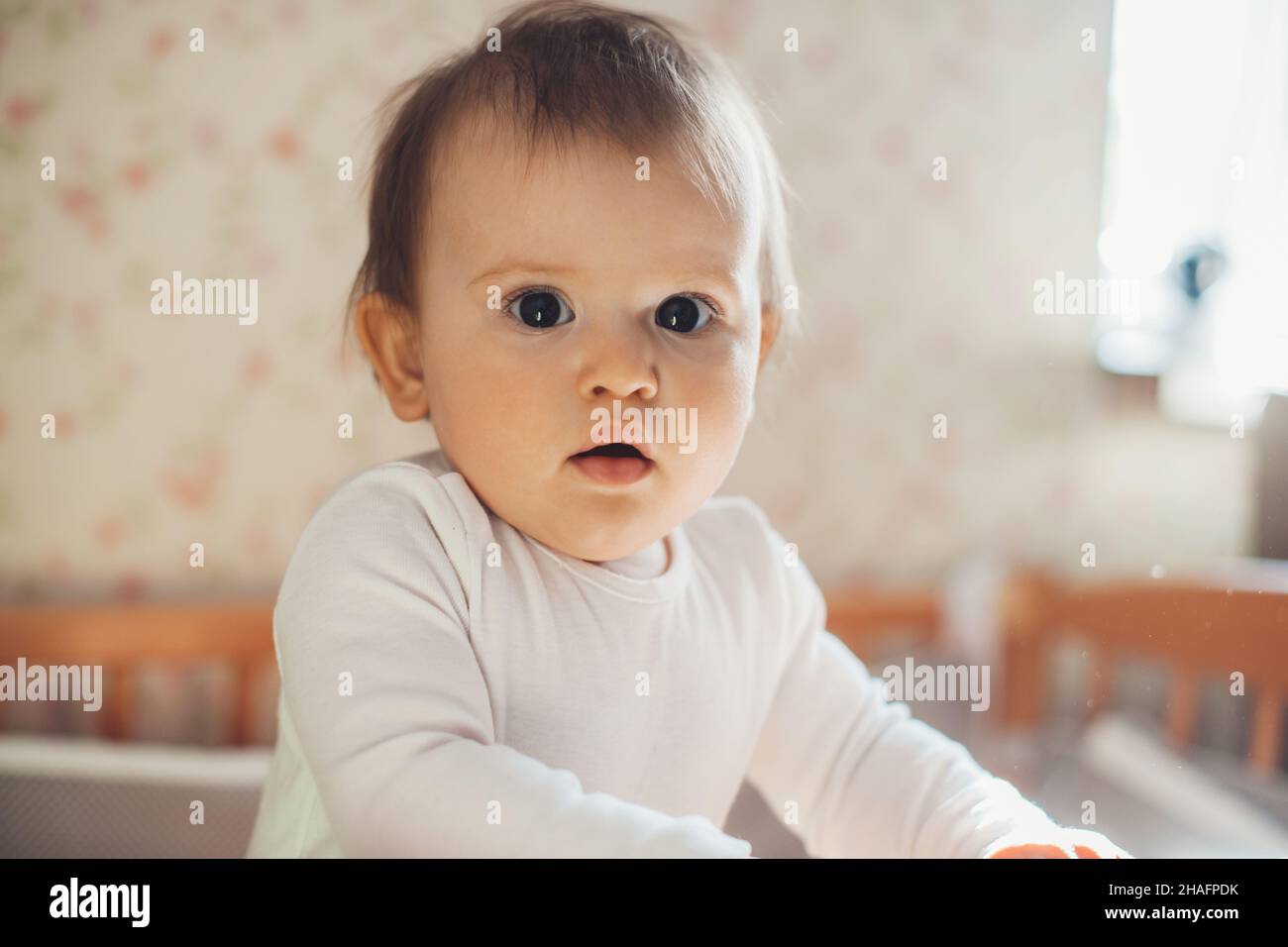 Close up portrait of a baby girl looking concentrated at the camera ...